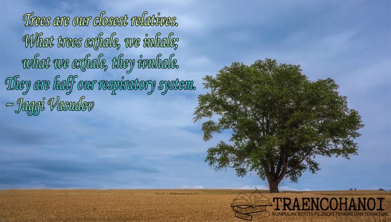 The Philosophy of Trees: Life Lessons from Nature's Giants